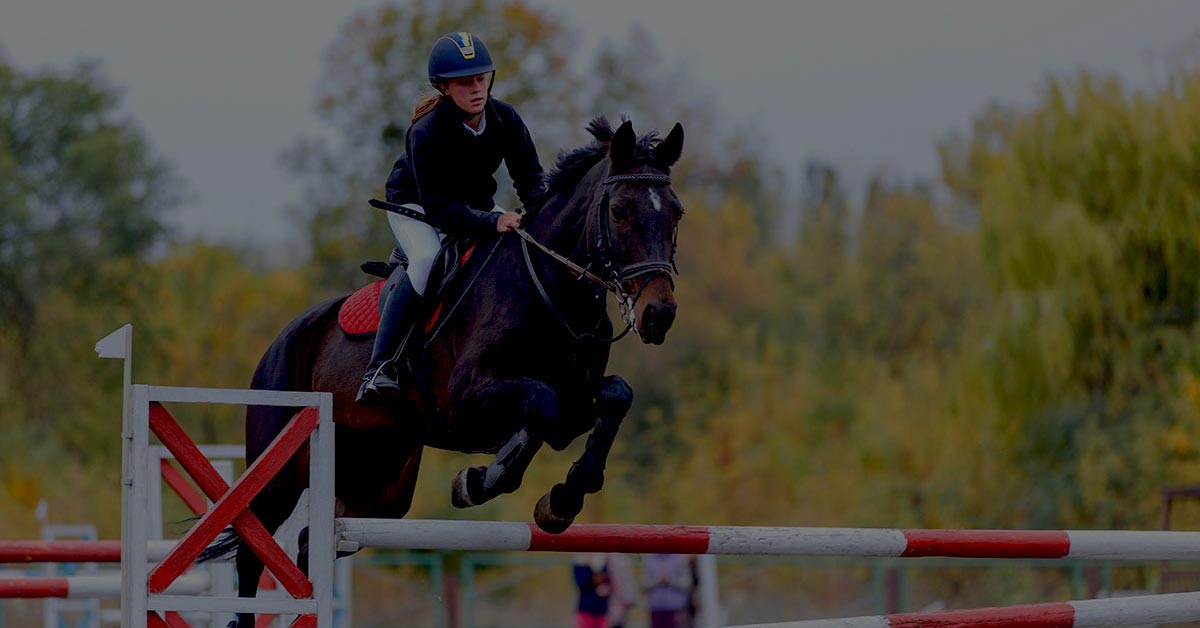 Accounting Software with Complete Audit Trail | Gravity Software